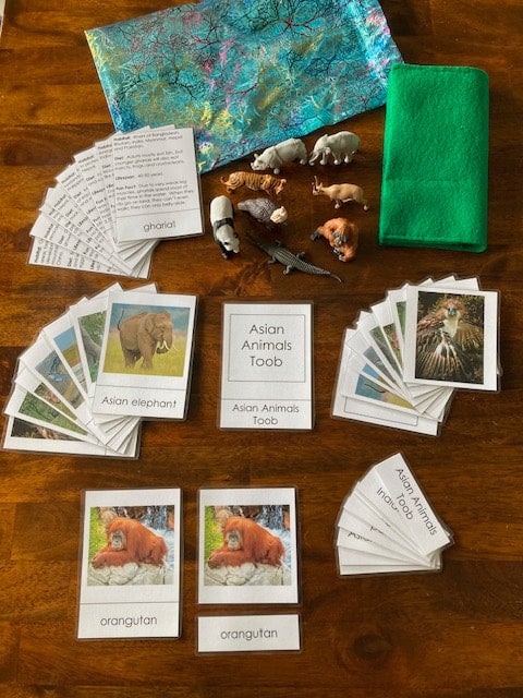 Asian Animal Toob Three-Part Card Set | Miss Cuteson's Class