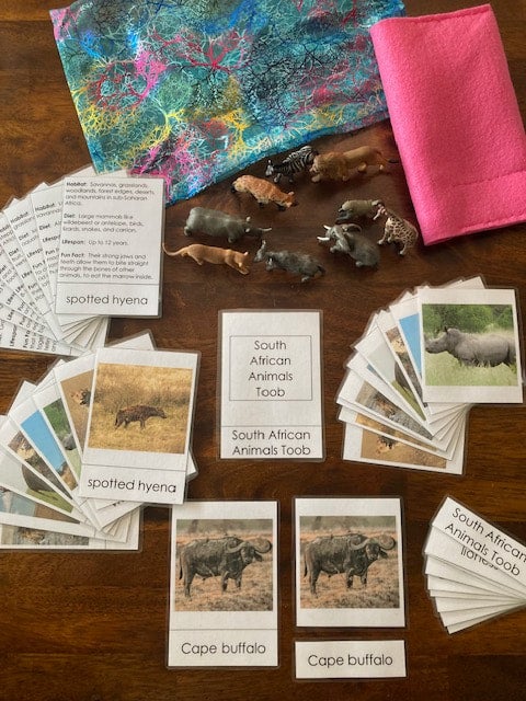 South African Animals Toob 3-Part Card Set | Miss Cuteson's Class