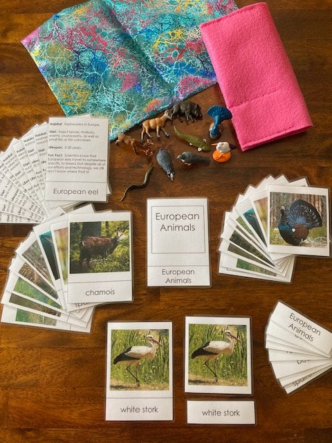European Animals Toob with 3-Part Card Set | Miss Cuteson's Class